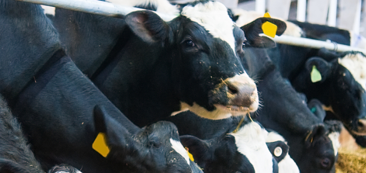 Home | North Dakota Department of Agriculture