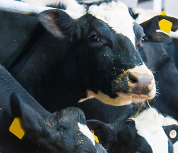 Home | North Dakota Department of Agriculture